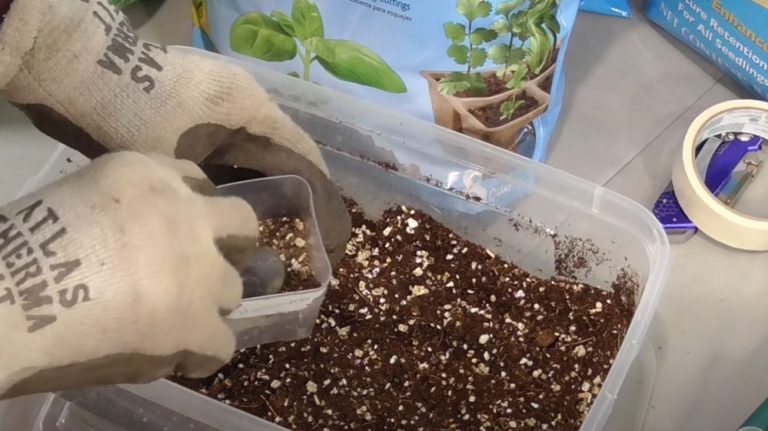 Seed Starting Mix Vs Potting Soil: What The Differences Are, How To ...